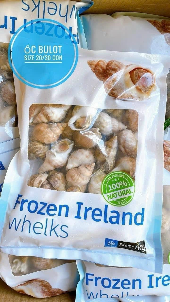 ỐC BULOT ANH SIZE 30-50 - Happy Papa's Food