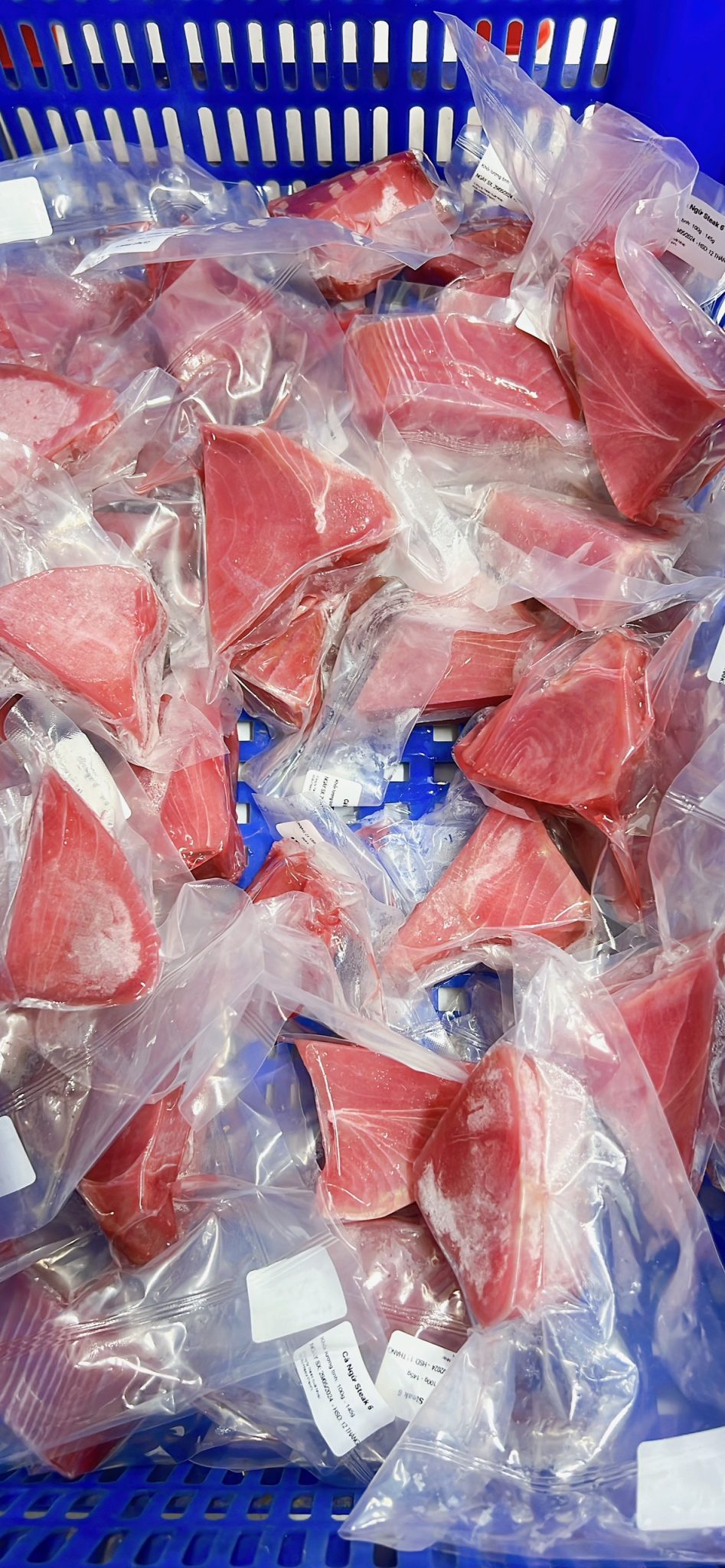 CÁ NGỪ STEAK 6 (Size 100g-145g/1 miếng) - Happy Papa's Food